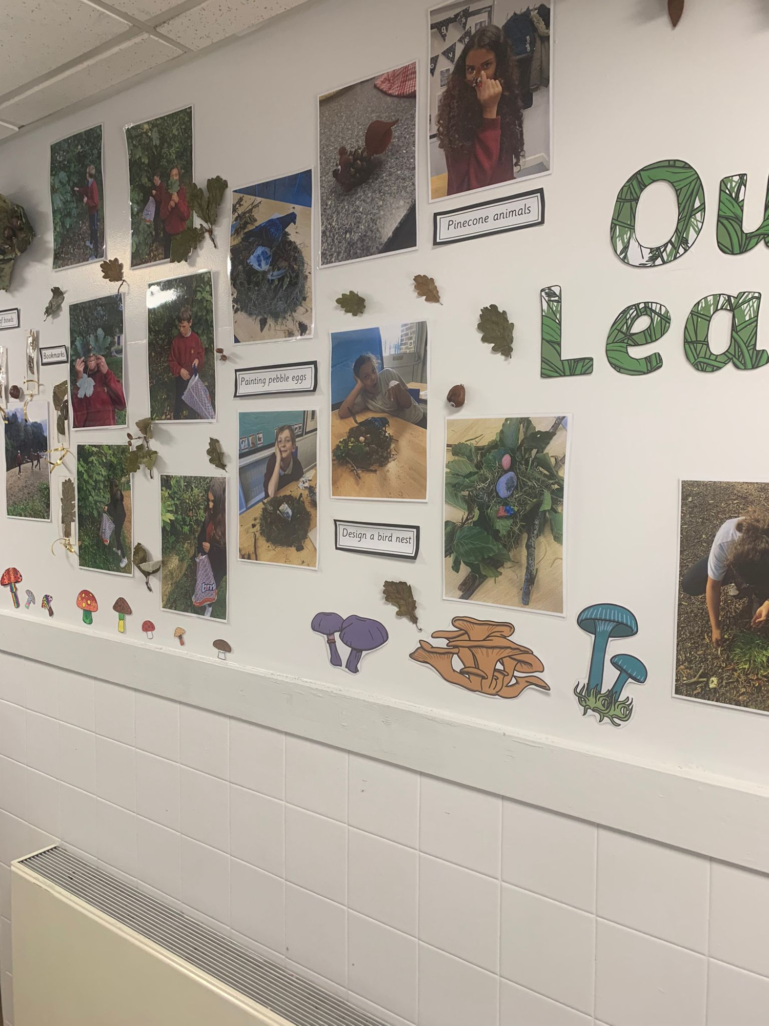 Outdoor learning - Park Aspire